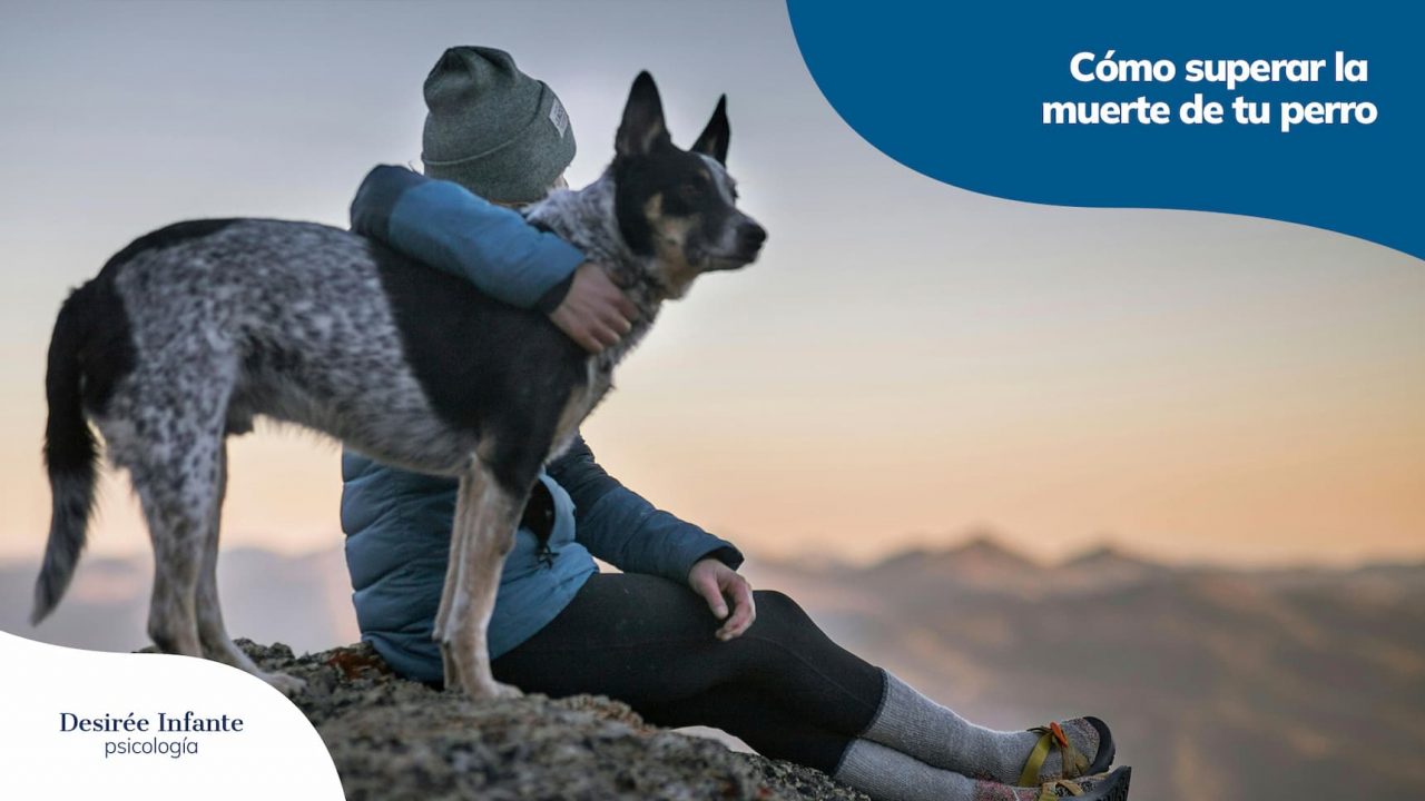 Cómo superar la muerte de tu perro: pasos que ayudan